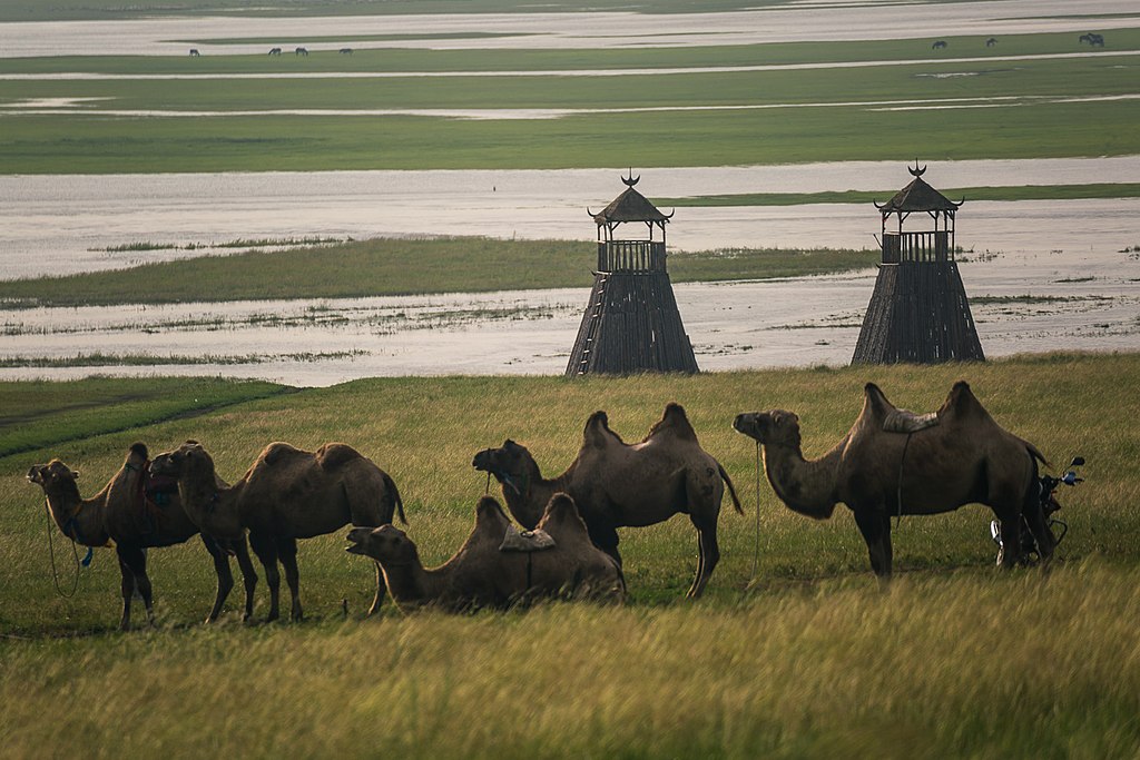 How China Colonized Southern Mongolia - GLOBAL STRAT VIEW